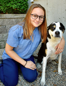 milla – Newport Animal Hospital